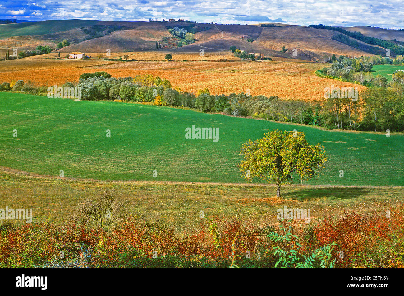 The countryside near Siena Stock Photo - Alamy