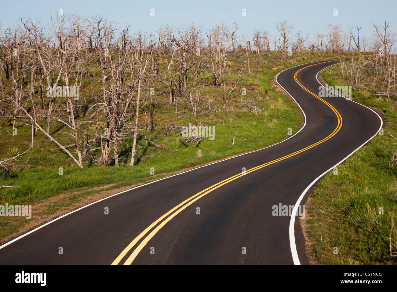 USA, Colorado, Mesa Verde Nationalpark, Empty road winding through ...