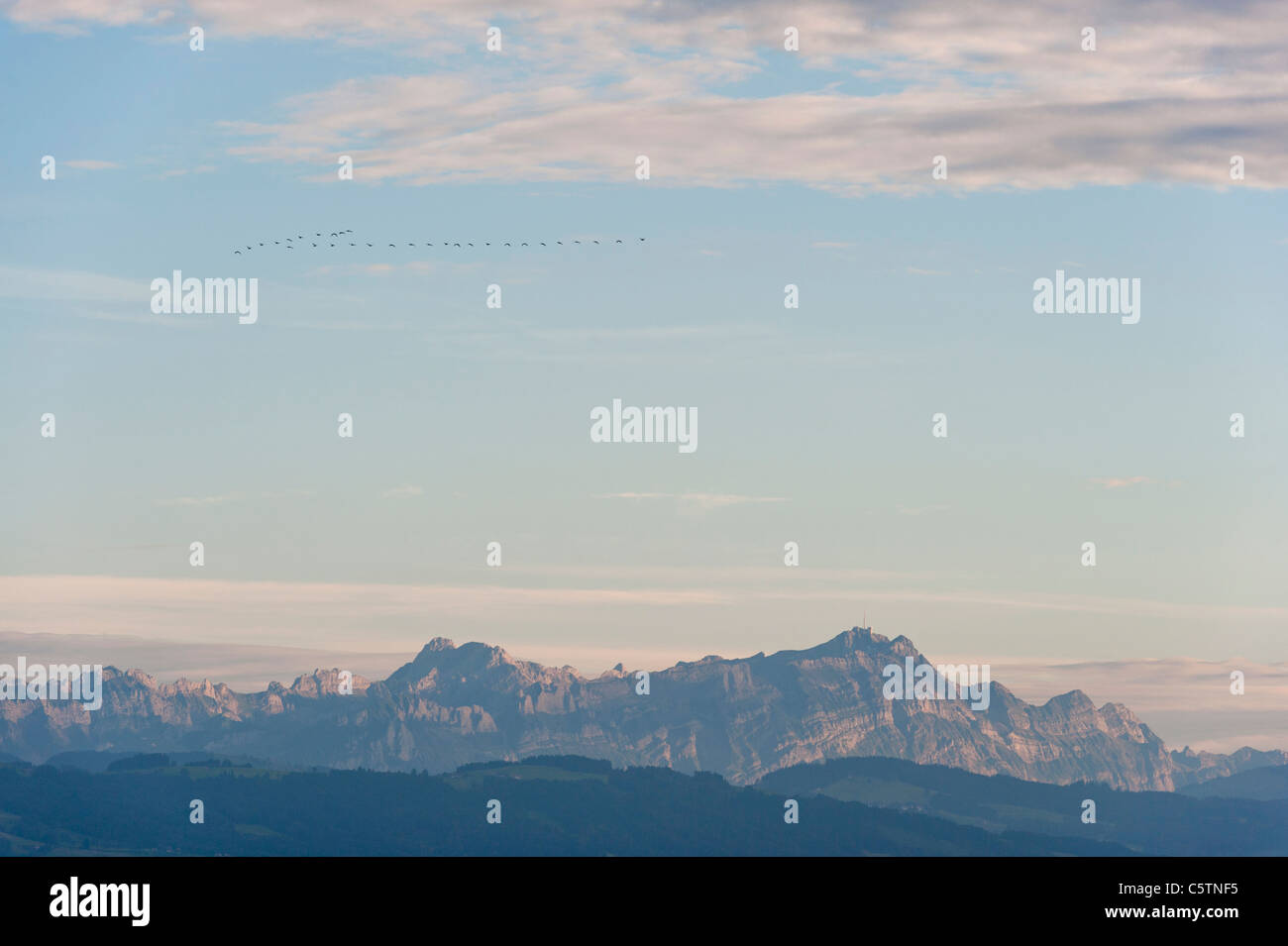 Germany, View of alps and birds flying in the sky Stock Photo - Alamy