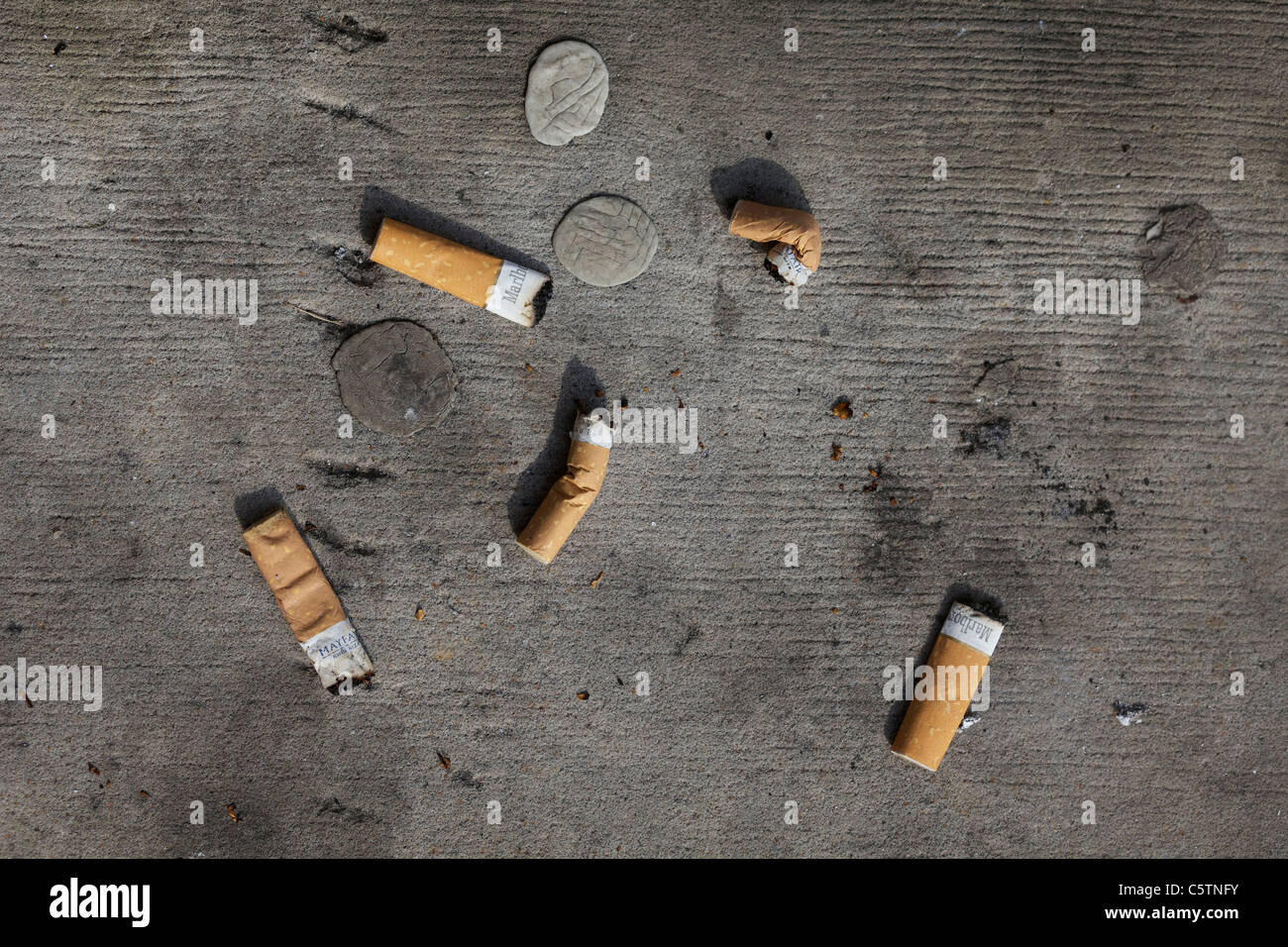 discarded cigarette butts and squashed chewing gum on a path Stock ...