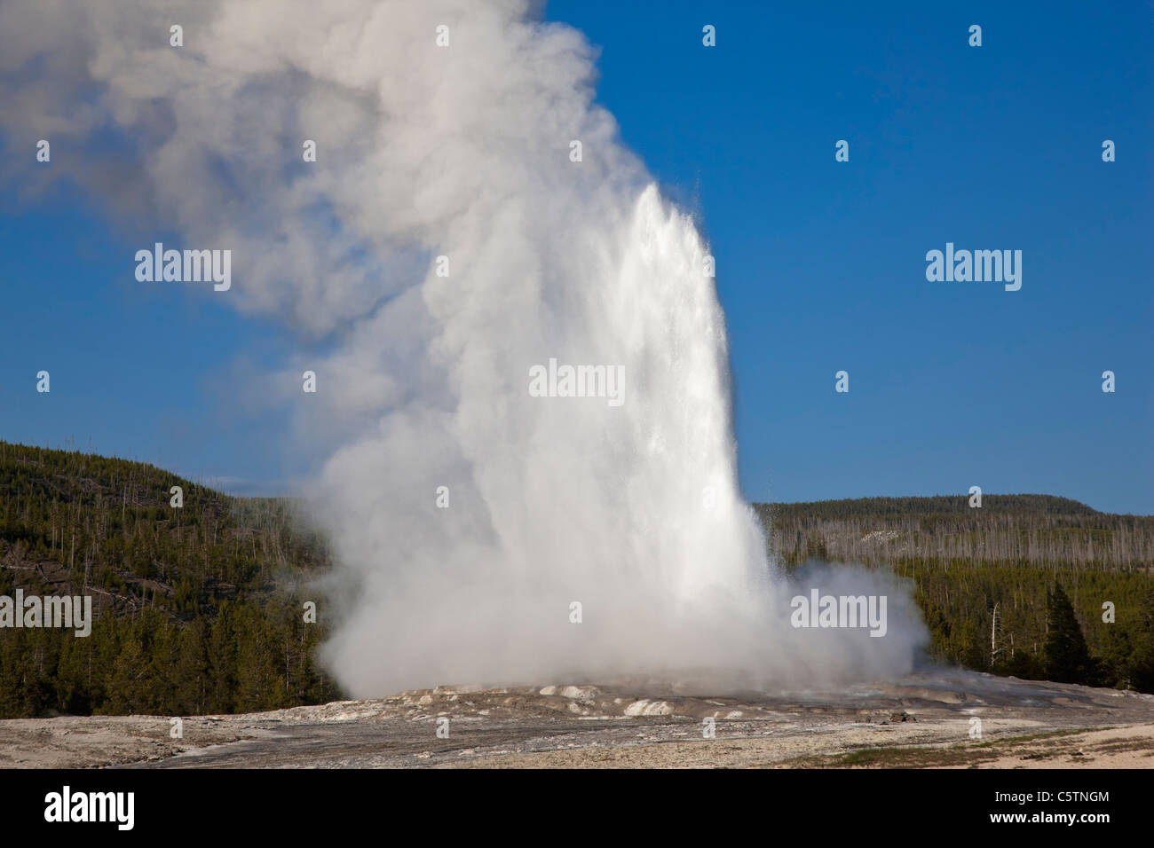 Old faithful yellowstone park hi-res stock photography and images - Alamy