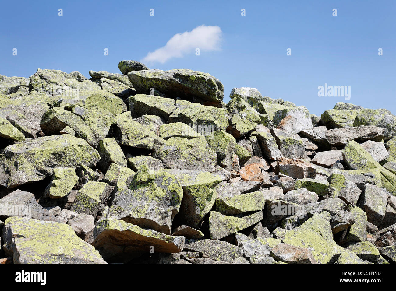 Germany, Bavaria, Lower Bavaria, Lusen, rocks with lichens at bavarian ...