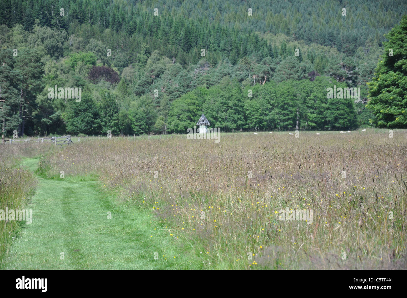 Royal Deeside landscape, Scotland, Autumn, Tarland, Aboyne, Ballater ...