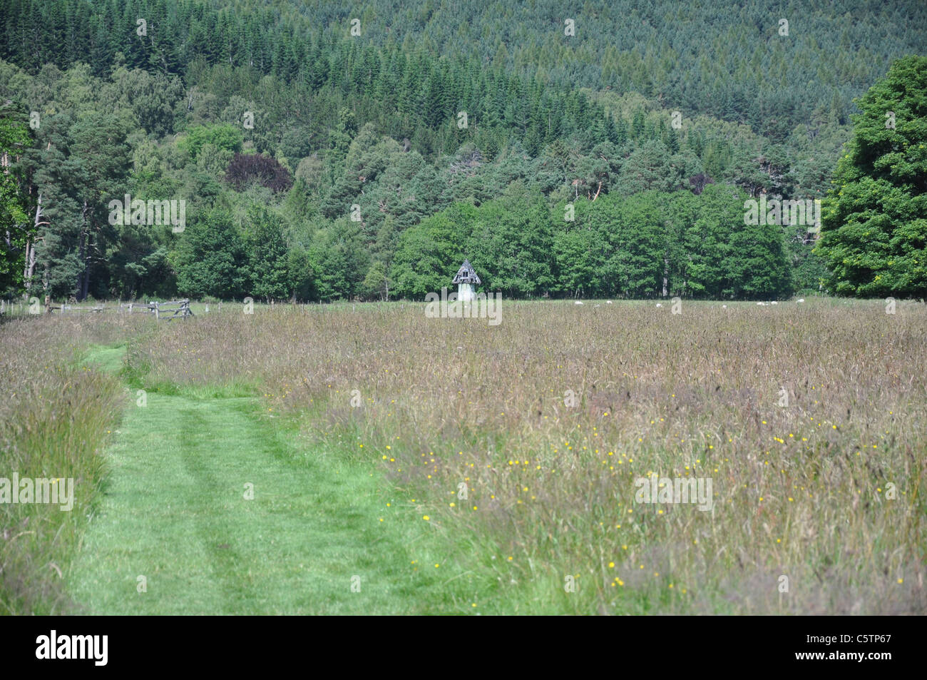 Royal Deeside landscape, Scotland, Autumn, Tarland, Aboyne, Ballater ...