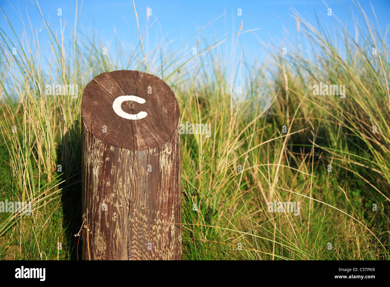 Forest park sign with letter C, in Ards, Donegal Stock Photo - Alamy