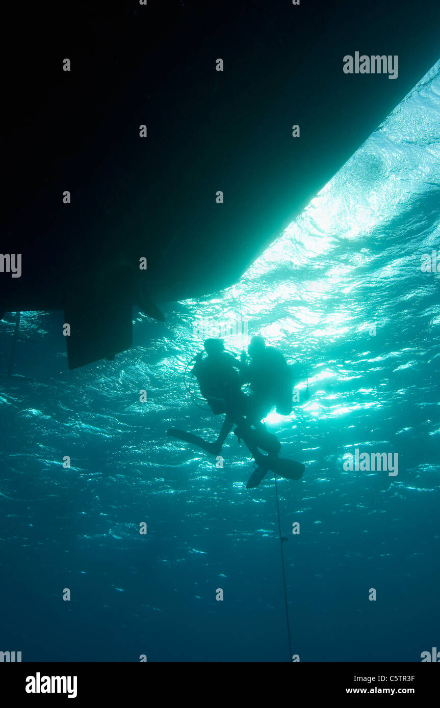 Egypt, Red Sea, Scuba divers by boat under water Stock Photo - Alamy
