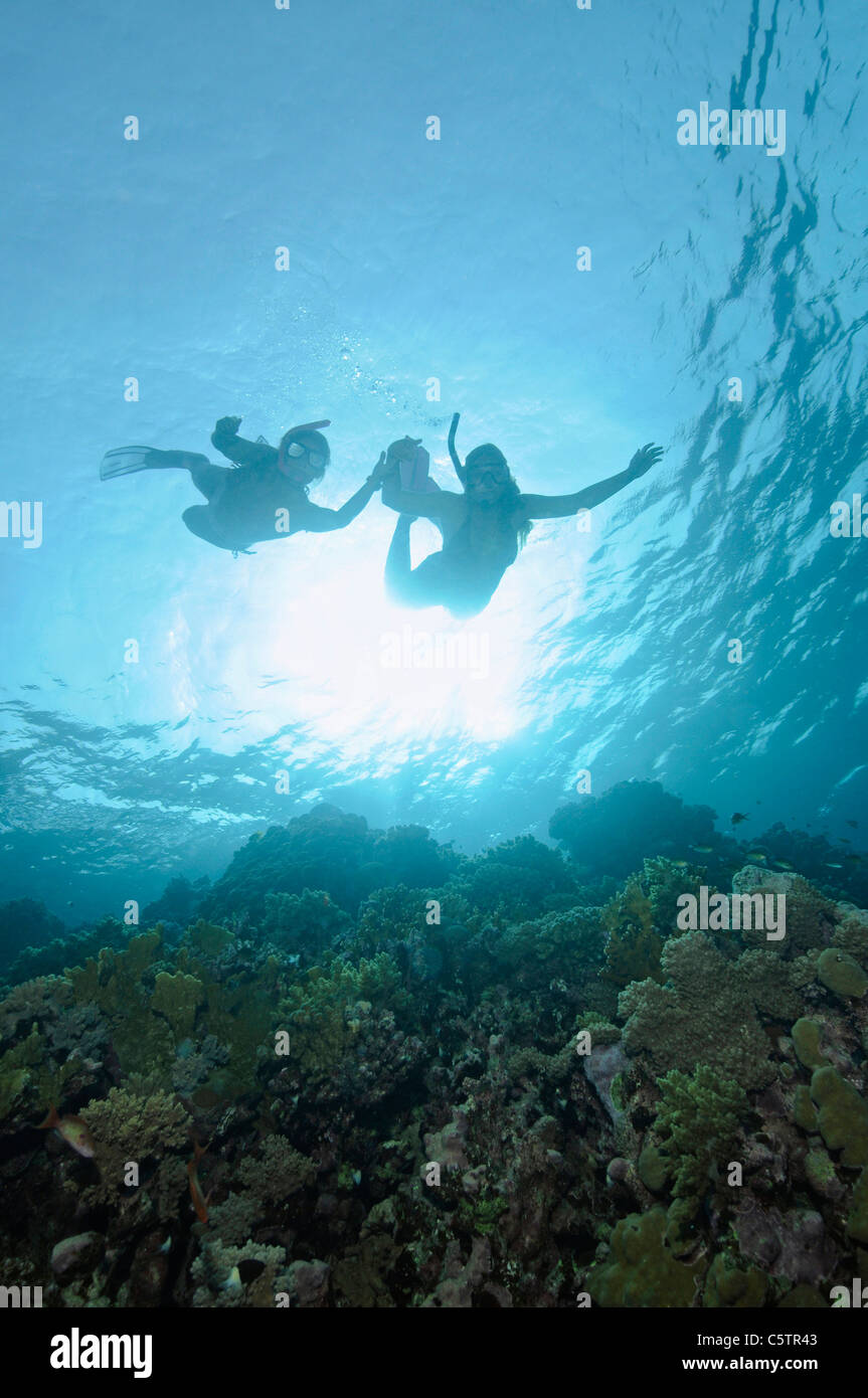 Egypt, Red Sea, Two persons snorkeling Stock Photo - Alamy