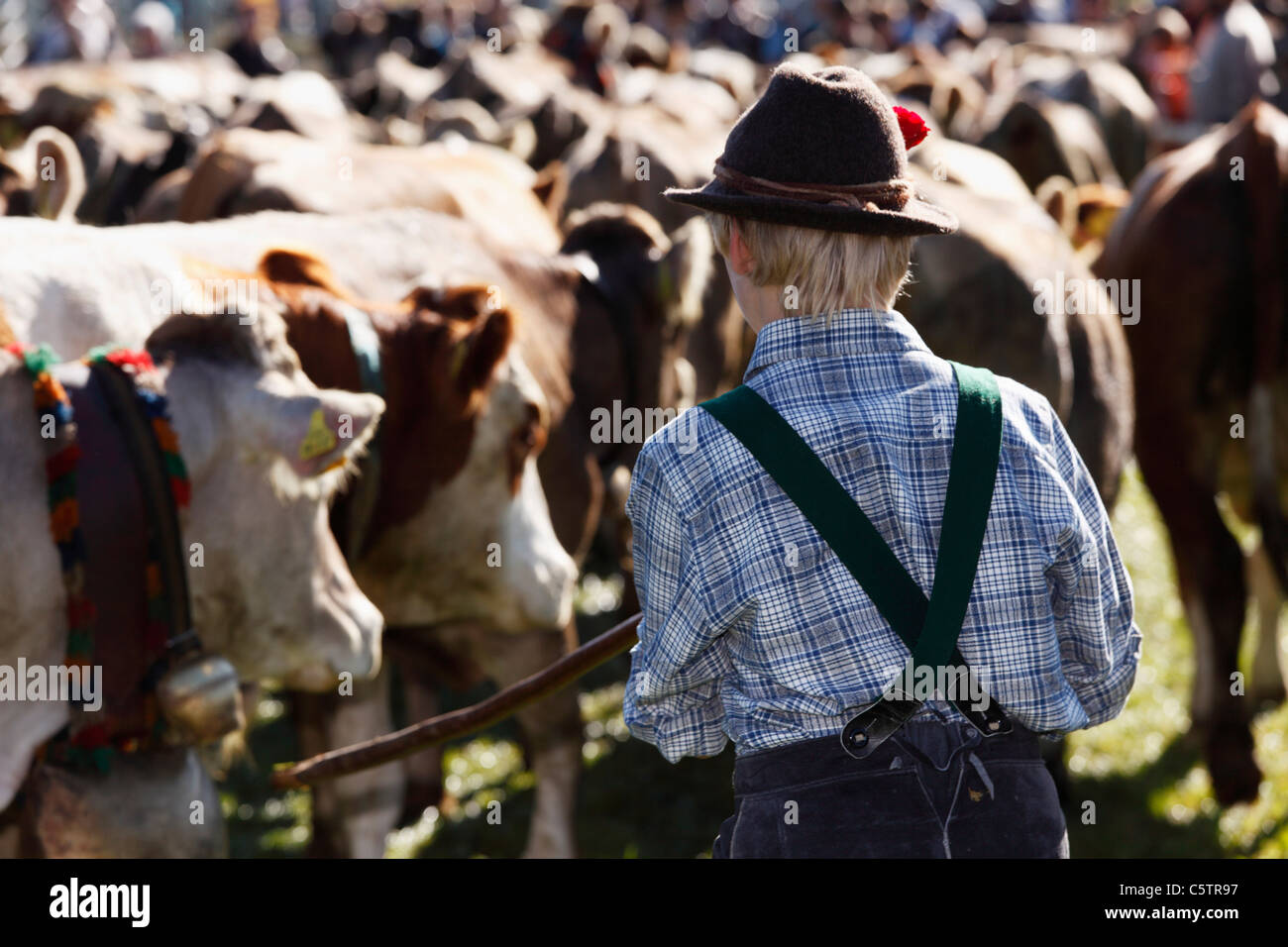 Schwaben hi-res stock photography and images - Alamy