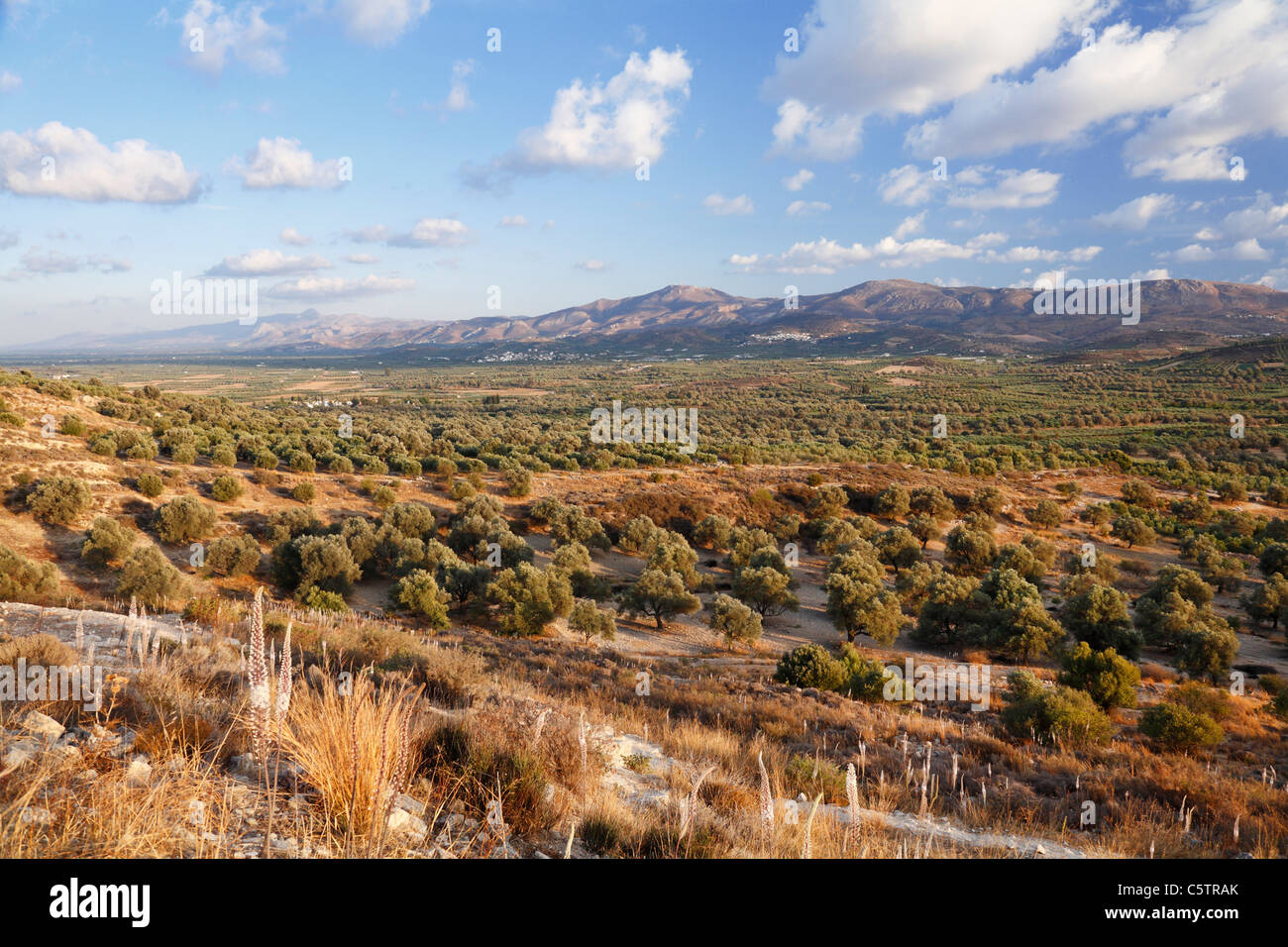 Crete greece landscape mountains hi-res stock photography and images ...