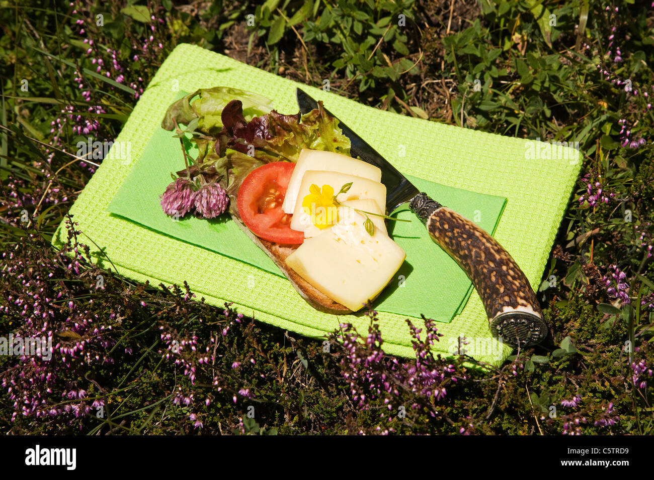 Snack, Alpine cheese on bread, elevated view Stock Photo - Alamy