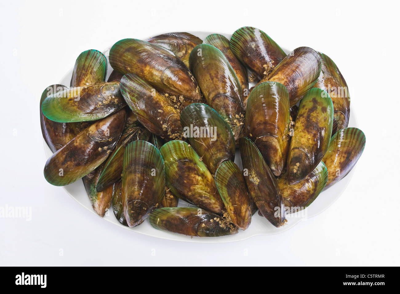 Raw Green mussels (Perna canaliculus) on plate, elevated view Stock ...