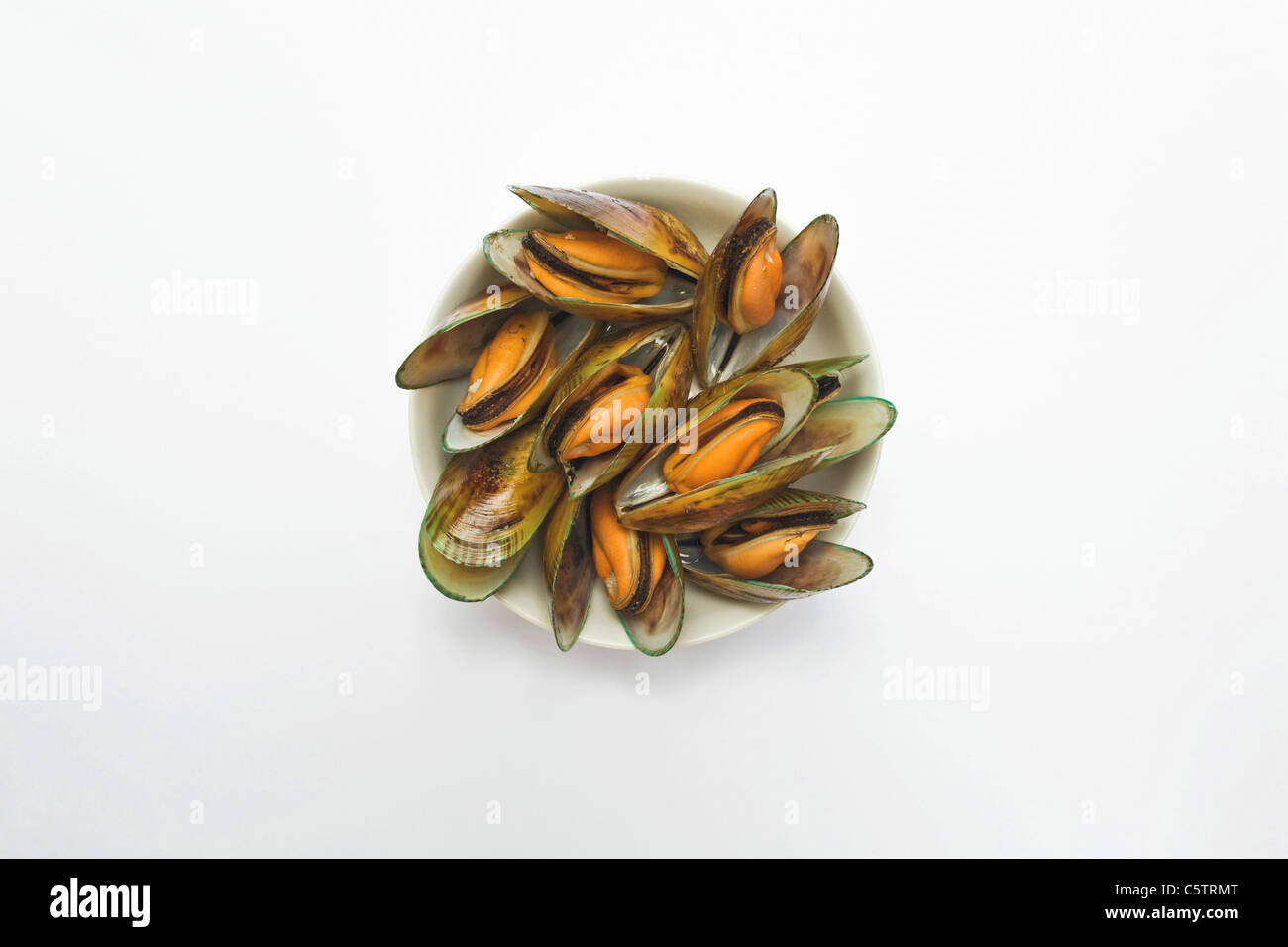 Perna canaliculus hi-res stock photography and images - Alamy