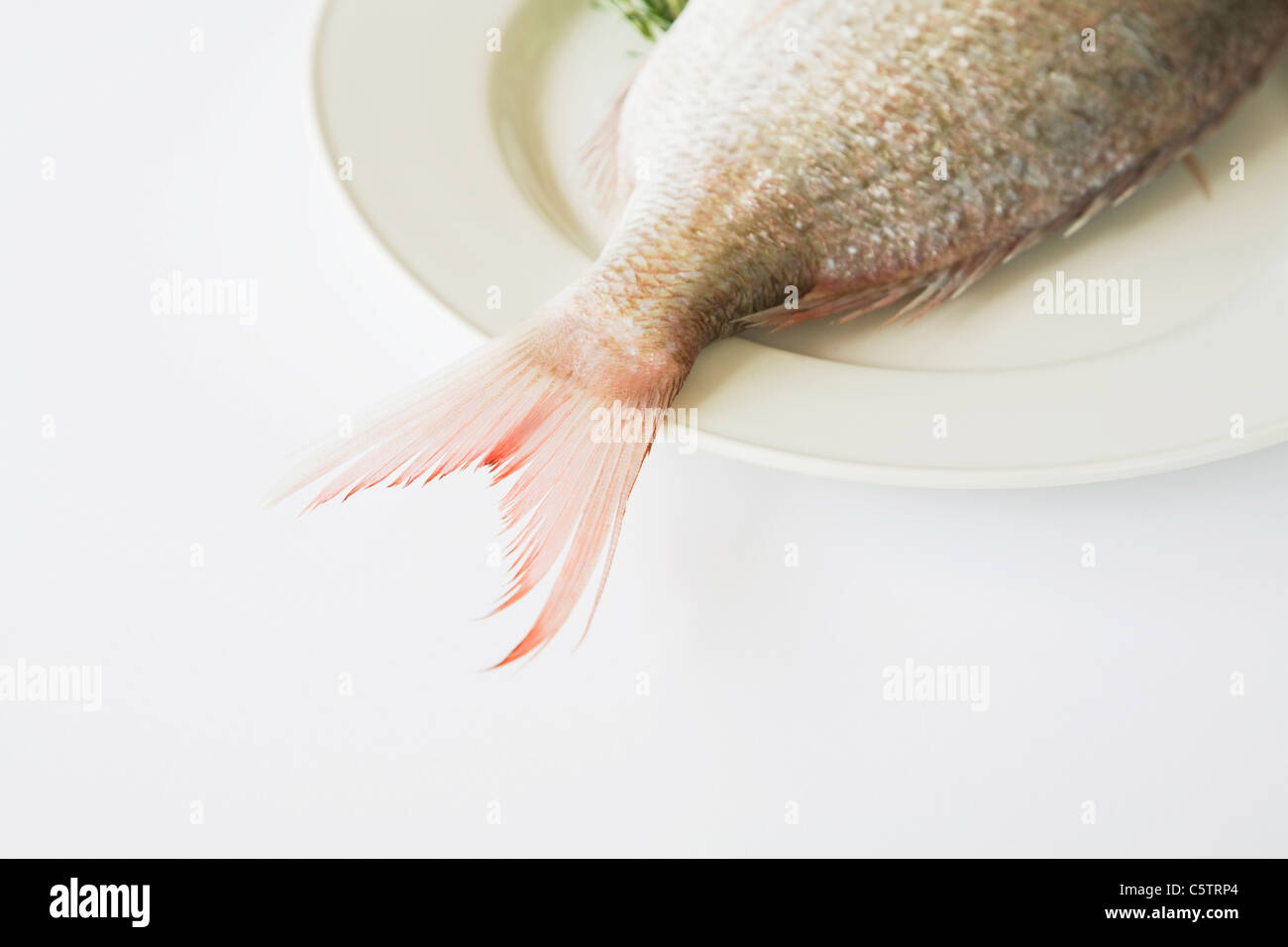 Red Snapper Plate Stock Photos & Red Snapper Plate Stock Images - Alamy