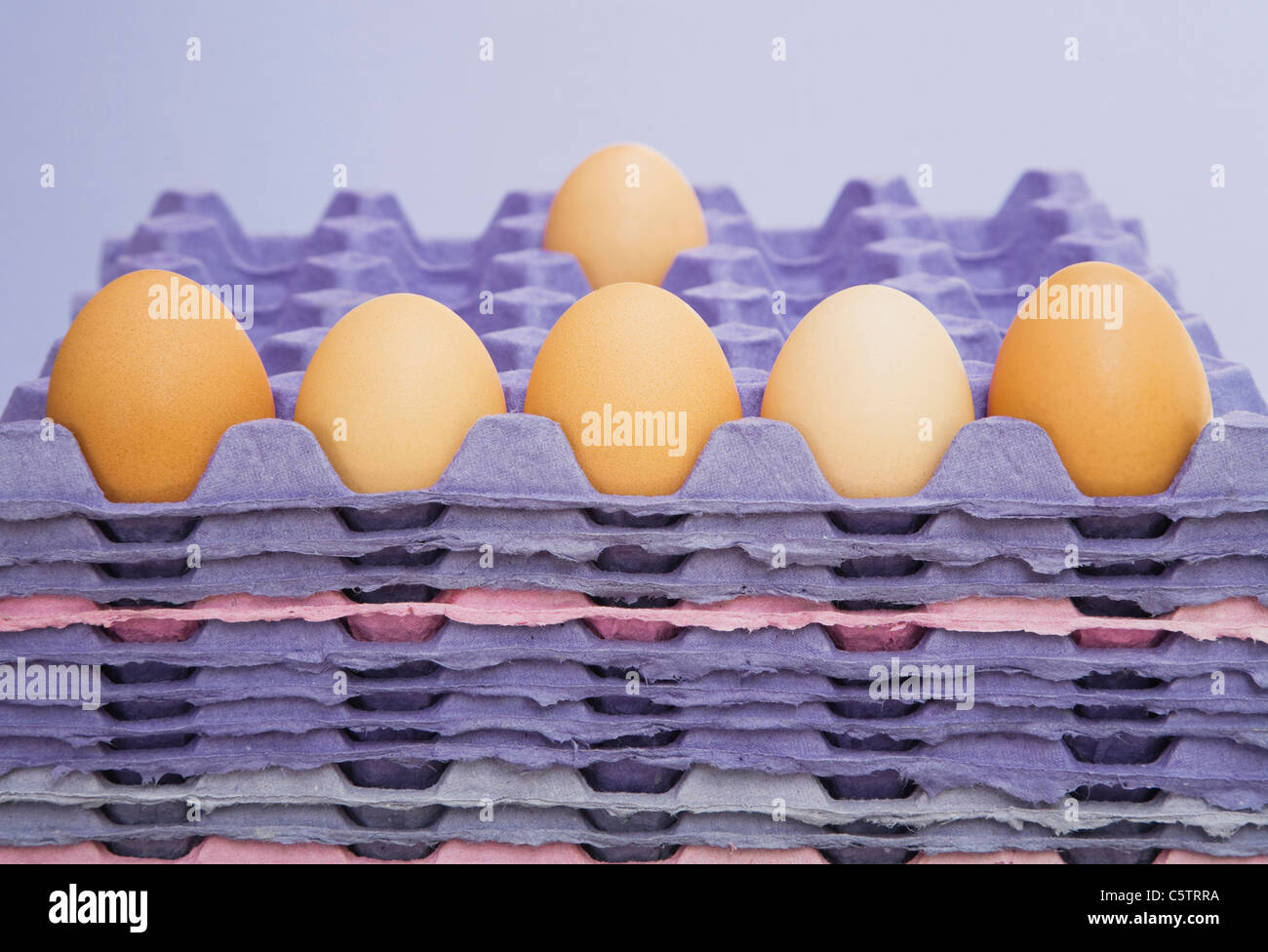 Eggs a pallet hi-res stock photography and images - Alamy