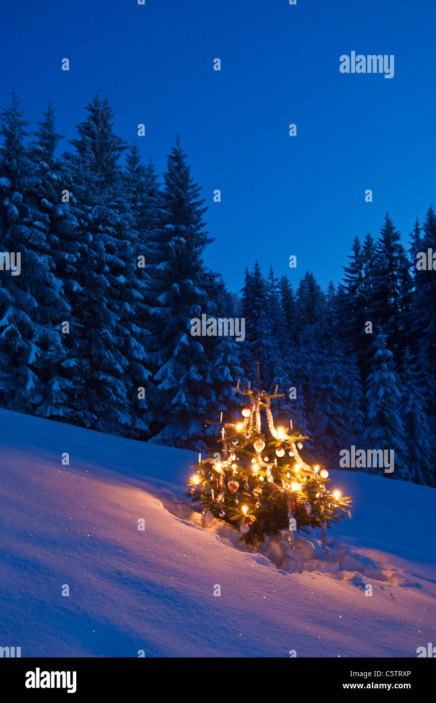 Austria Christmas Tree High Resolution Stock Photography and Images - Alamy