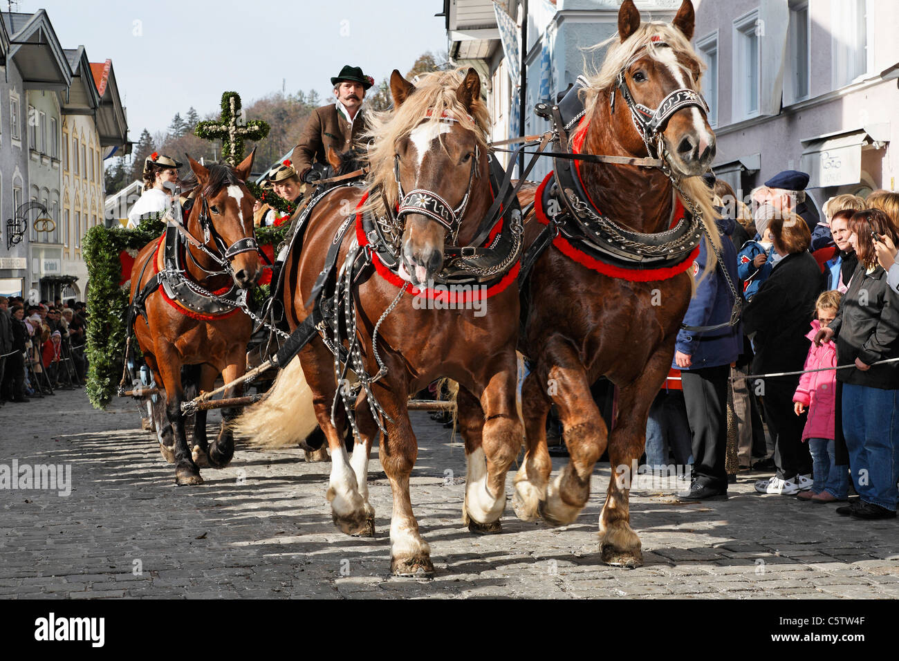 Lz hi-res stock photography and images - Alamy