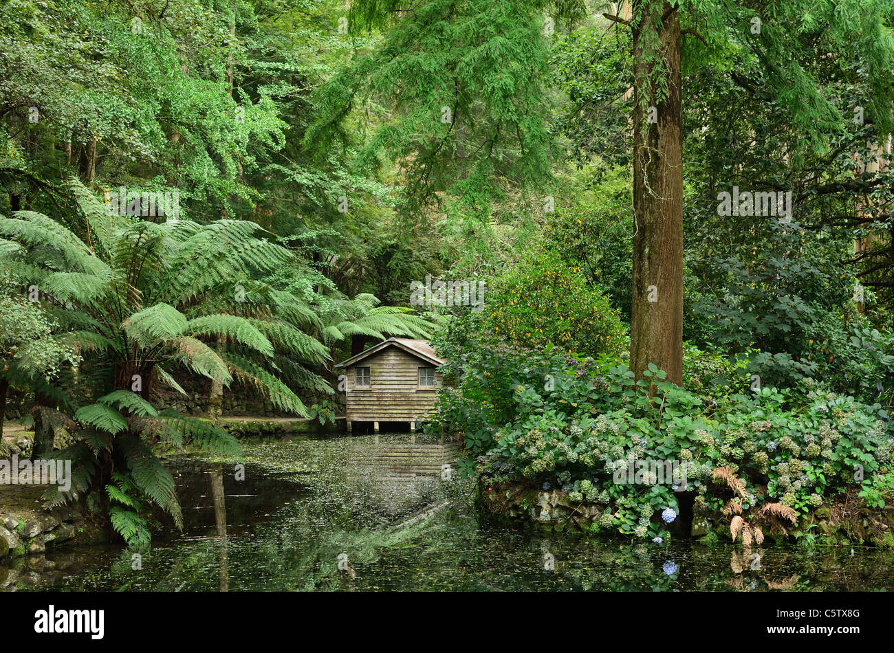 Dandenong ranges hi-res stock photography and images - Alamy