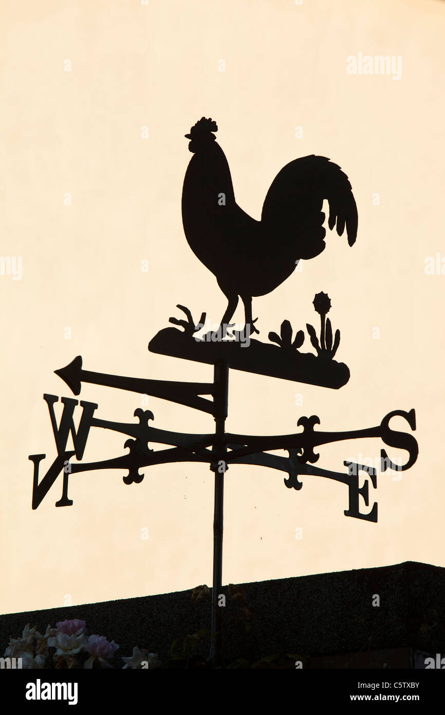 A weather vane in a garden in clitheroe, Lancashire, UK Stock Photo - Alamy