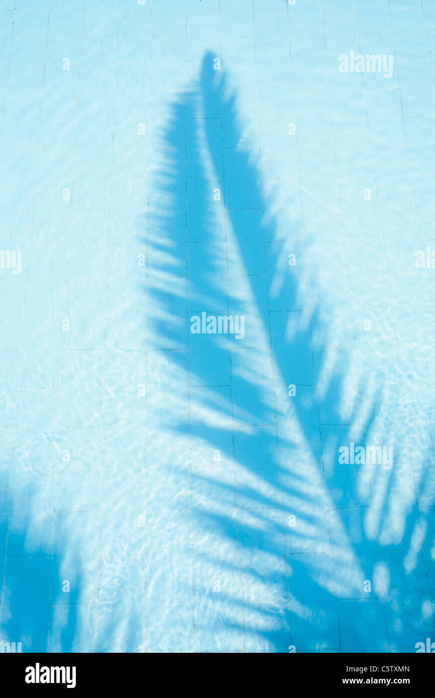 Tree shadow in water hi-res stock photography and images - Alamy