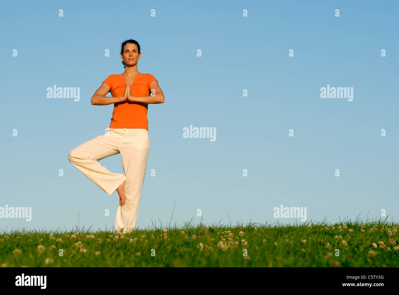Woman doing a yoga balance pose Stock Photo - Alamy