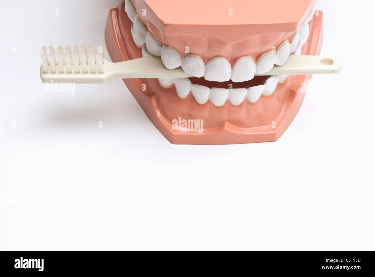 Set Of Dentures Stock Photos & Set Of Dentures Stock Images - Alamy