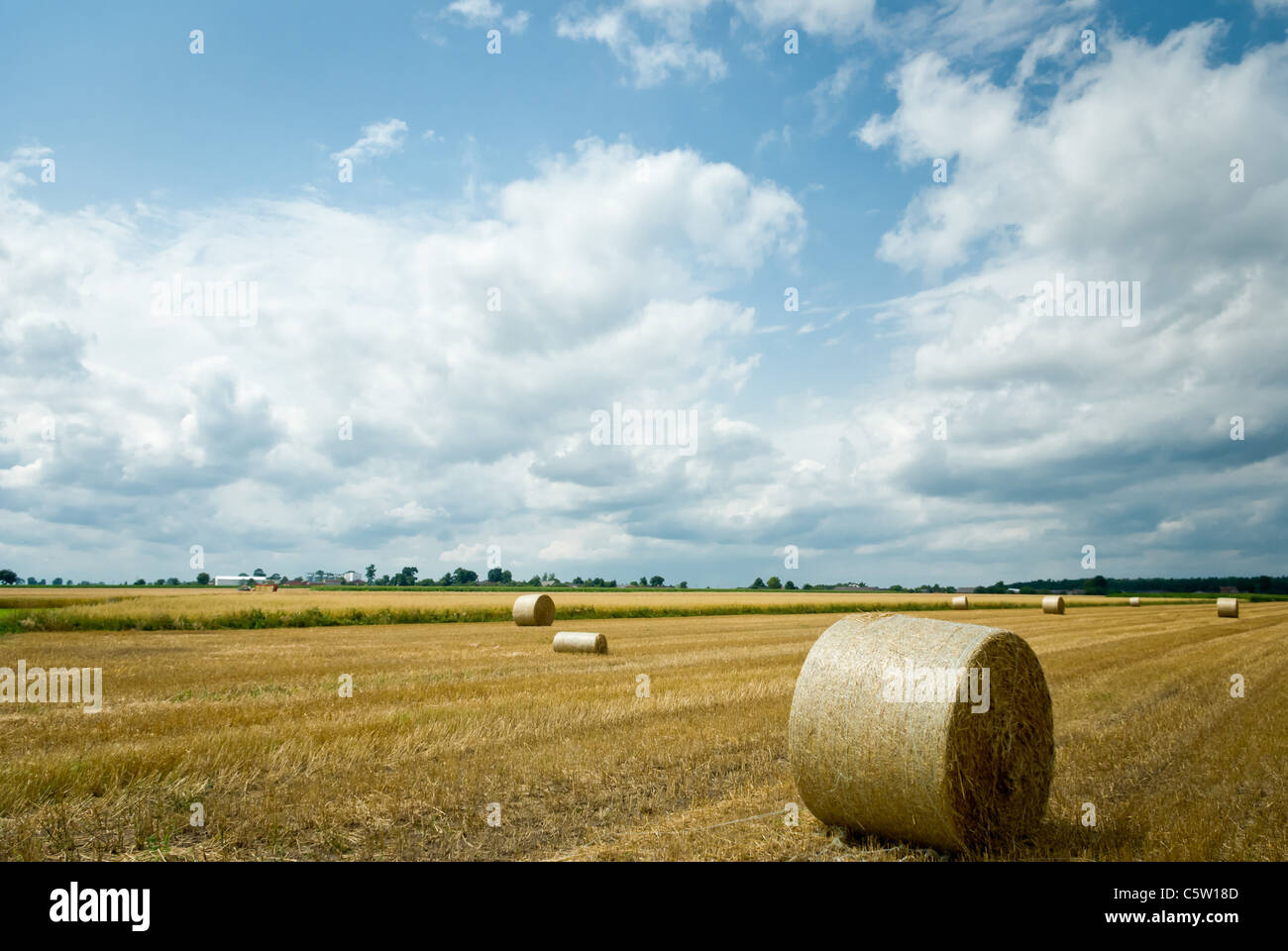 bundle of straw with golden color Stock Photo - Alamy