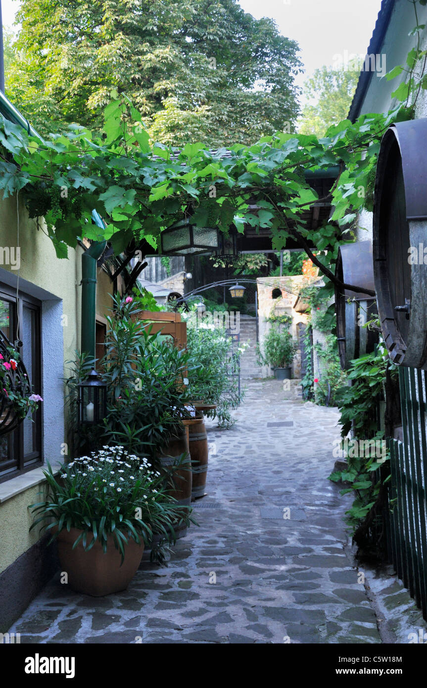 Heuriger Pub in Grinzing district of Vienna Austria Europe June 2011 ...
