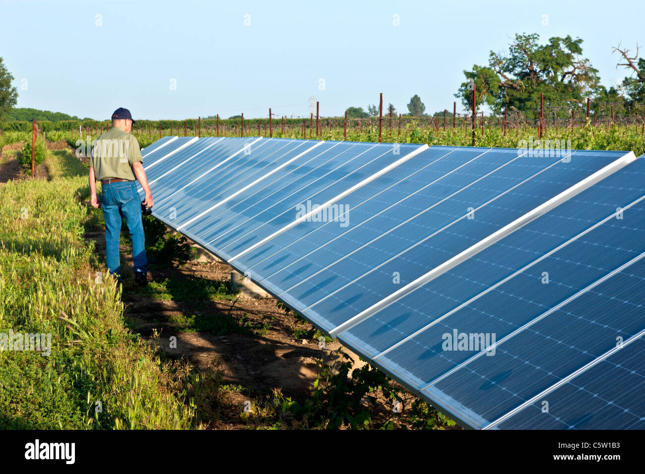 Solar System, technician inspecting panels Stock Photo - Alamy
