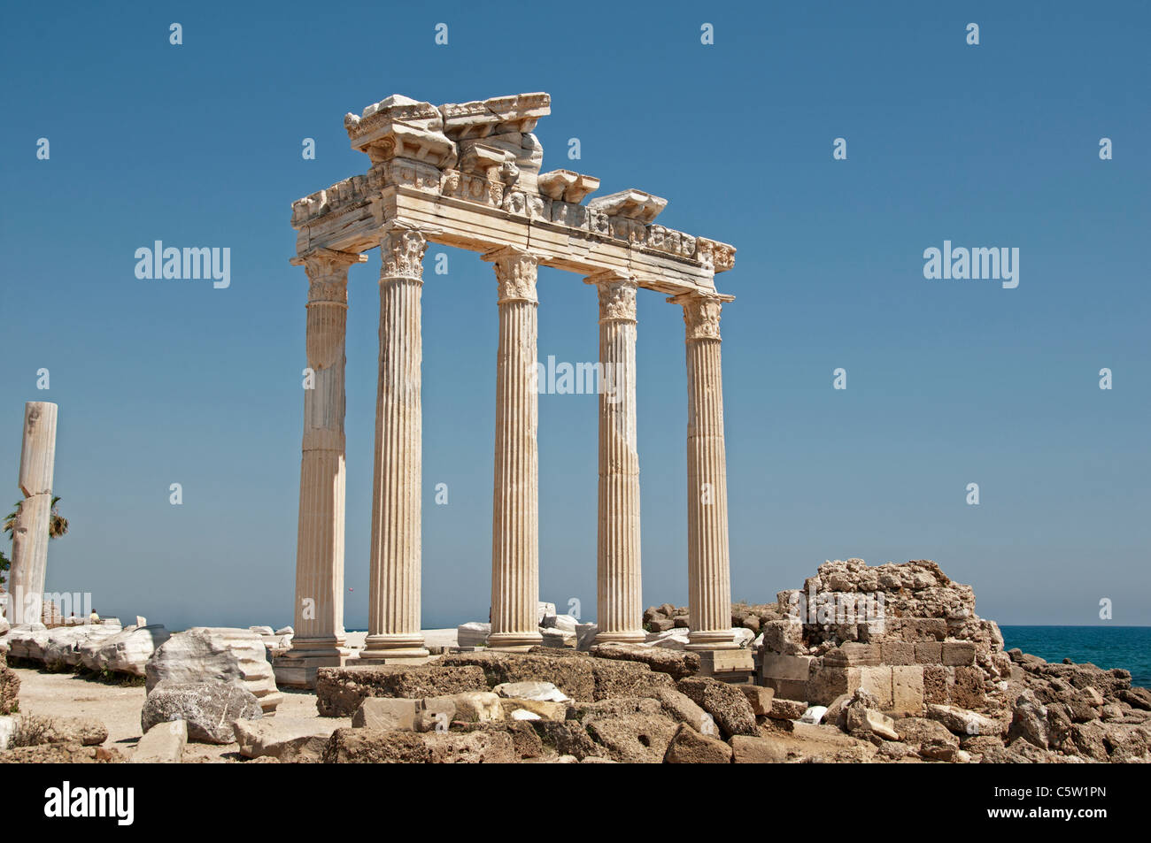 Side turkey hi-res stock photography and images - Alamy