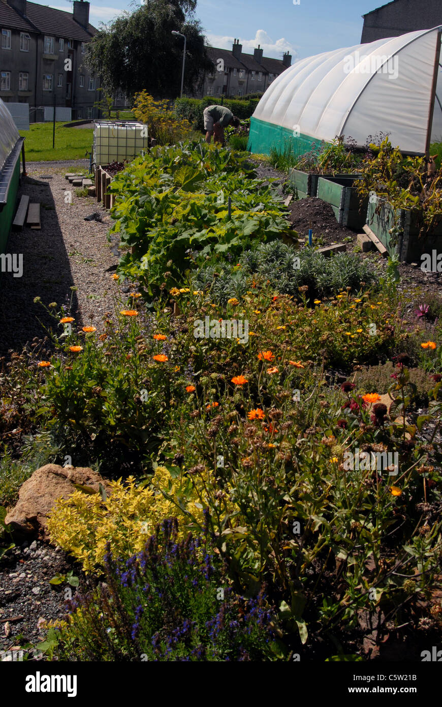 Plymouth project hi-res stock photography and images - Alamy