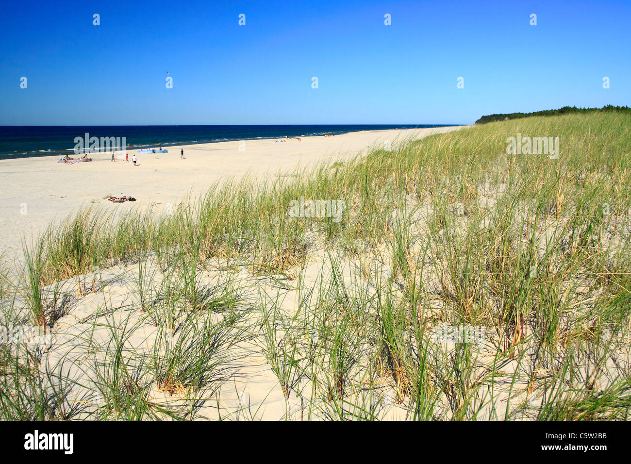 Baltic Sea beach and dunes in Bialogora, Poland Stock Photo - Alamy