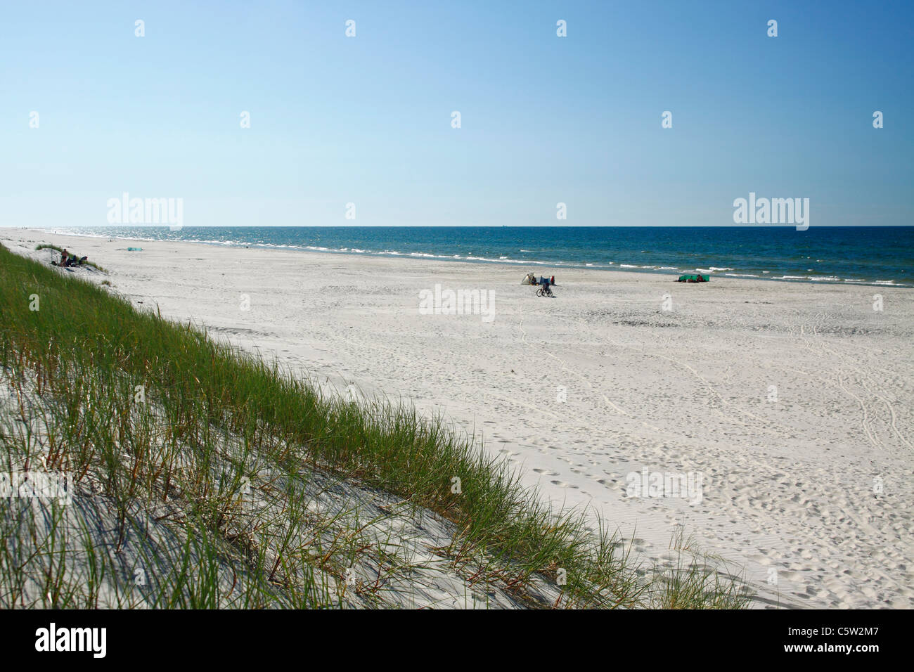 Baltic Sea beach and dunes in Bialogora, Poland Stock Photo - Alamy
