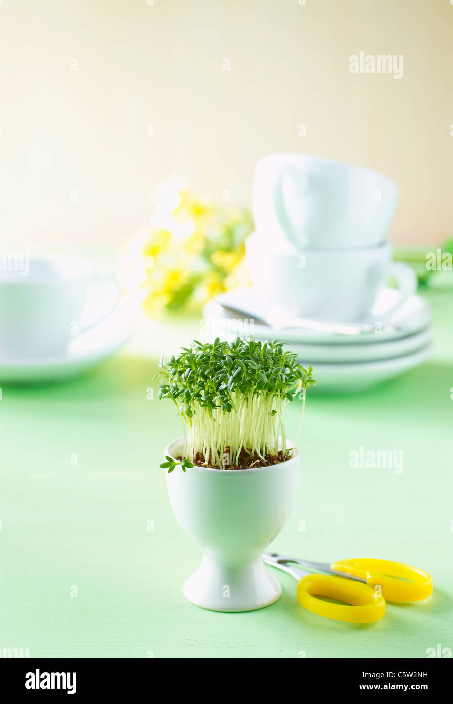 Cress cup hi-res stock photography and images - Alamy