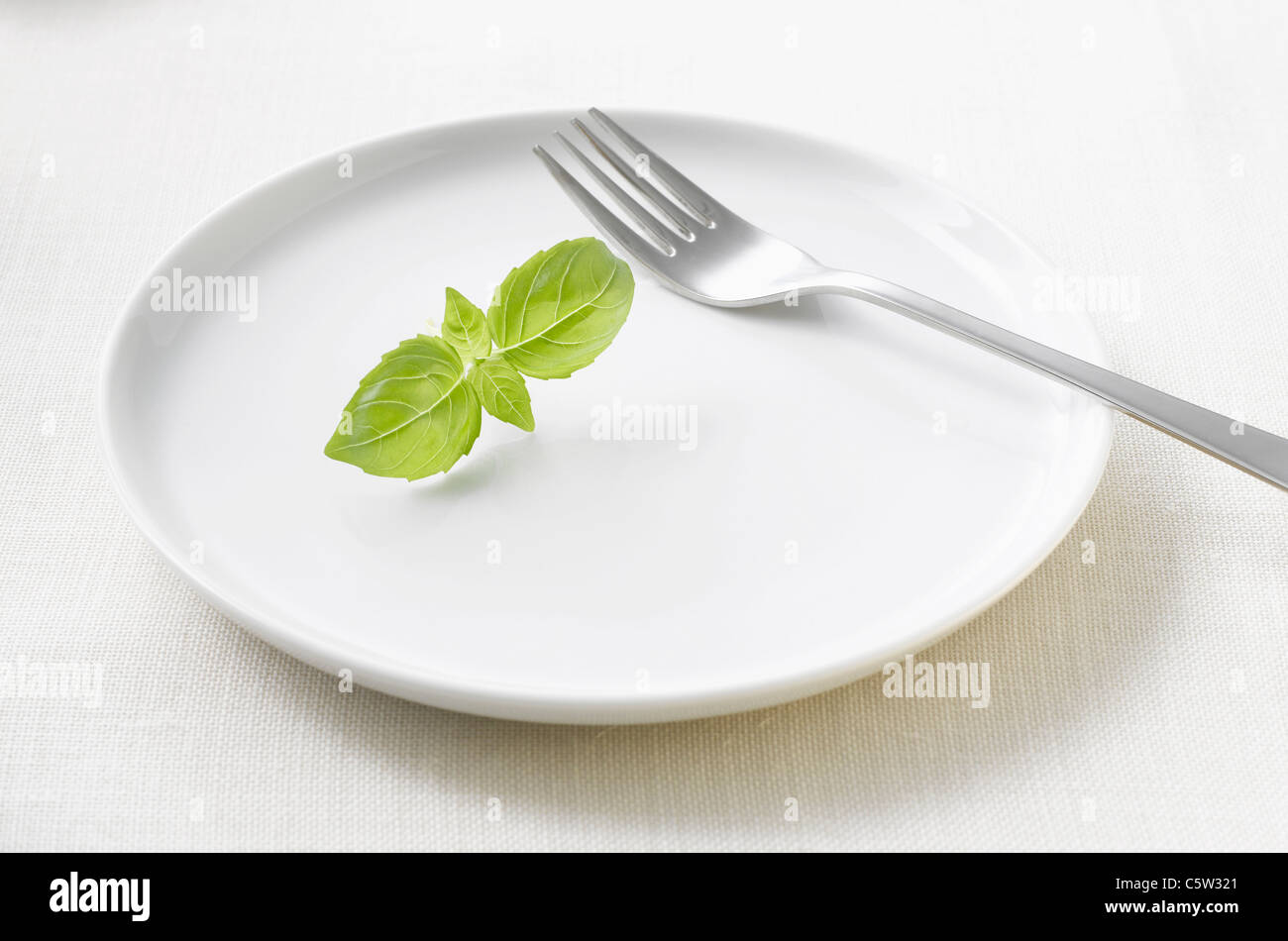 Basil on plate Stock Photo - Alamy