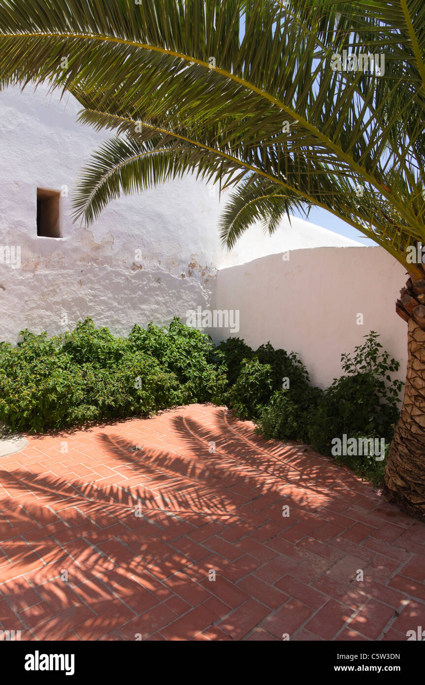 Courtyard with palm tree hi-res stock photography and images - Alamy