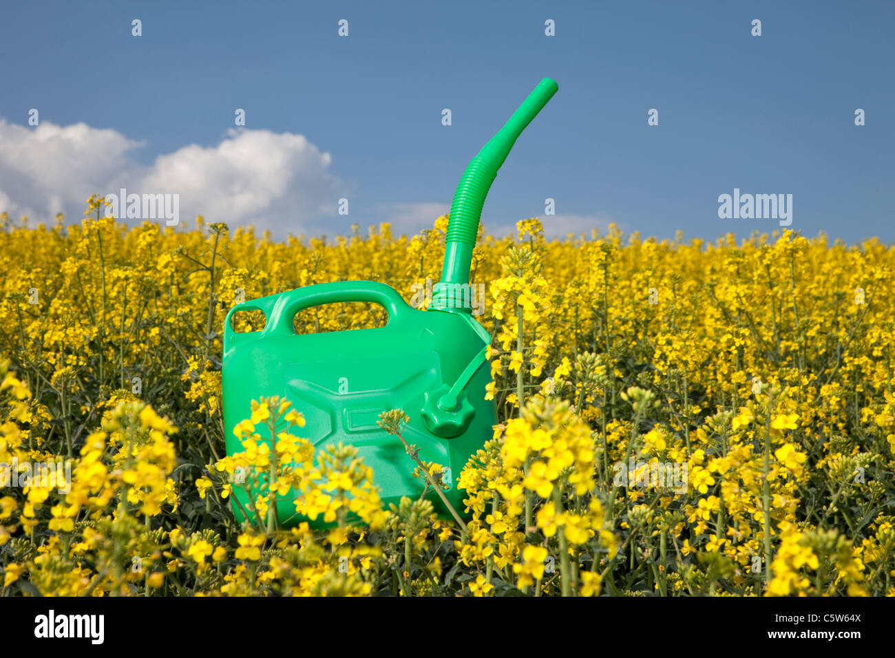 Germany, Bavaria, View of biofuel can in field Stock Photo - Alamy