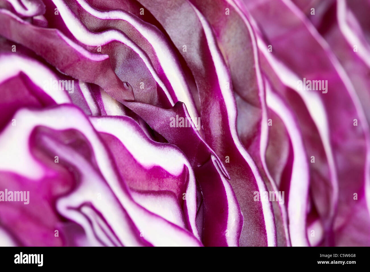 Sliced red cabbage (Brassica oleracea), full frame, close-up Stock ...