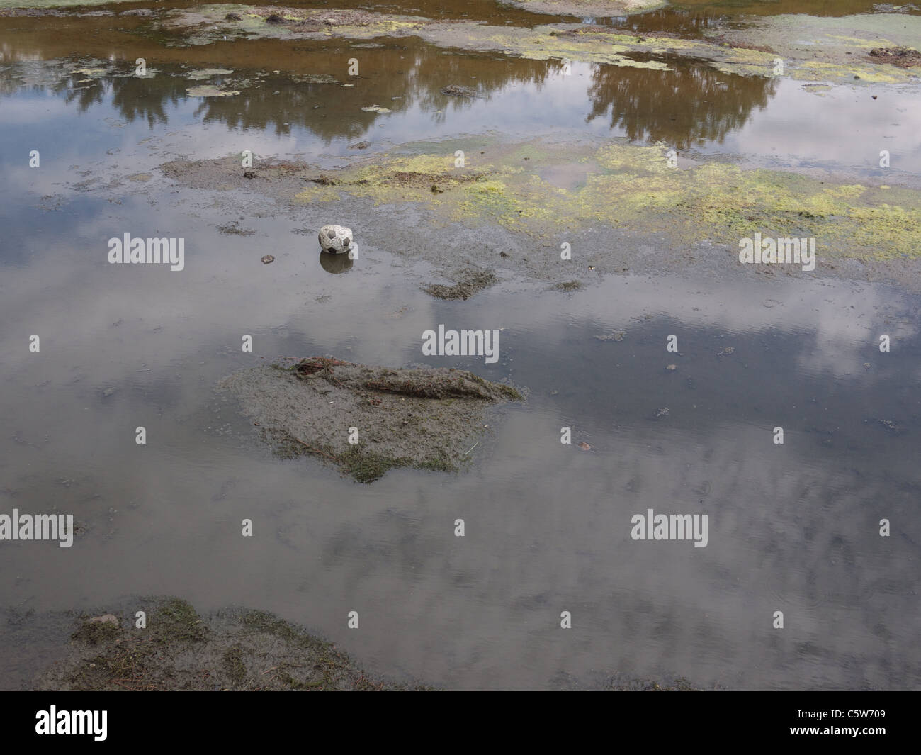 Exwick flood relief channel hi-res stock photography and images - Alamy