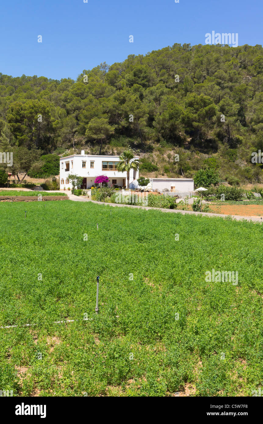 Mediterranean Farm House High Resolution Stock Photography and Images ...