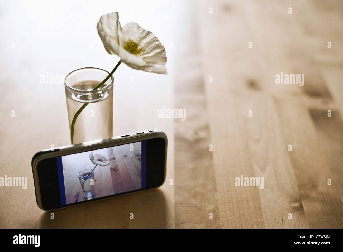 Picture flower hi-res stock photography and images - Alamy