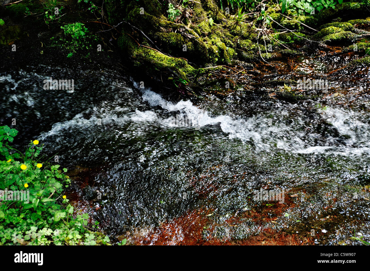 Torrent beautiful hi-res stock photography and images - Alamy