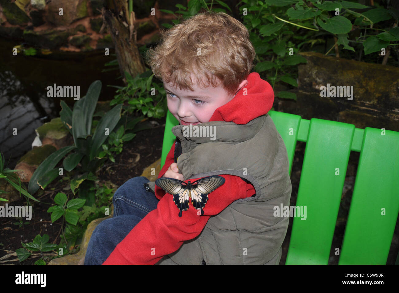 Funny butterfly hi-res stock photography and images - Alamy