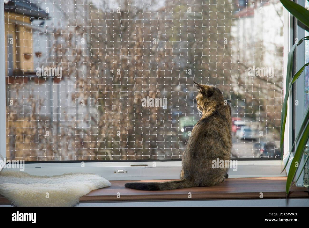 Safety net hi-res stock photography and images - Alamy