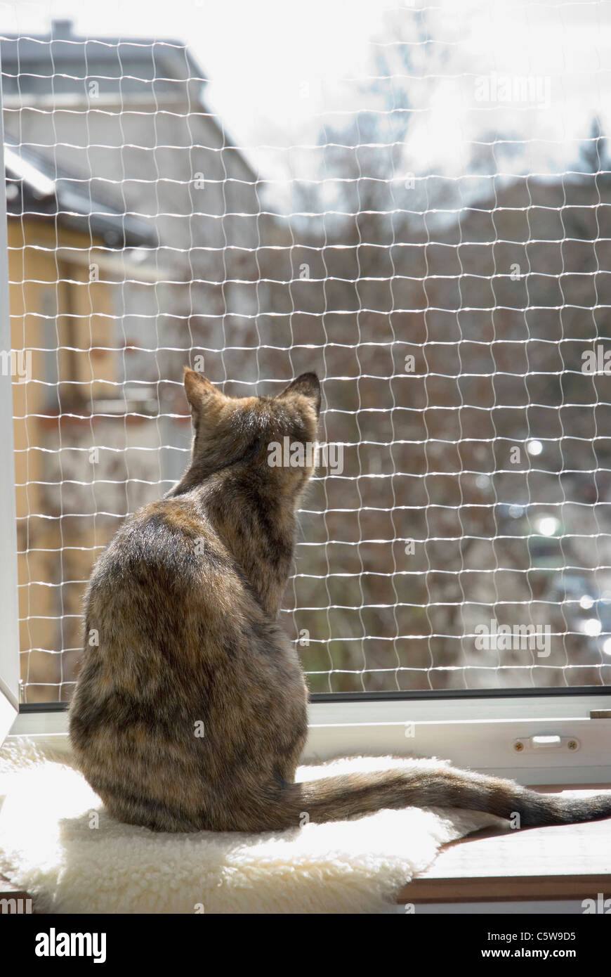 Animals safety hi-res stock photography and images - Alamy