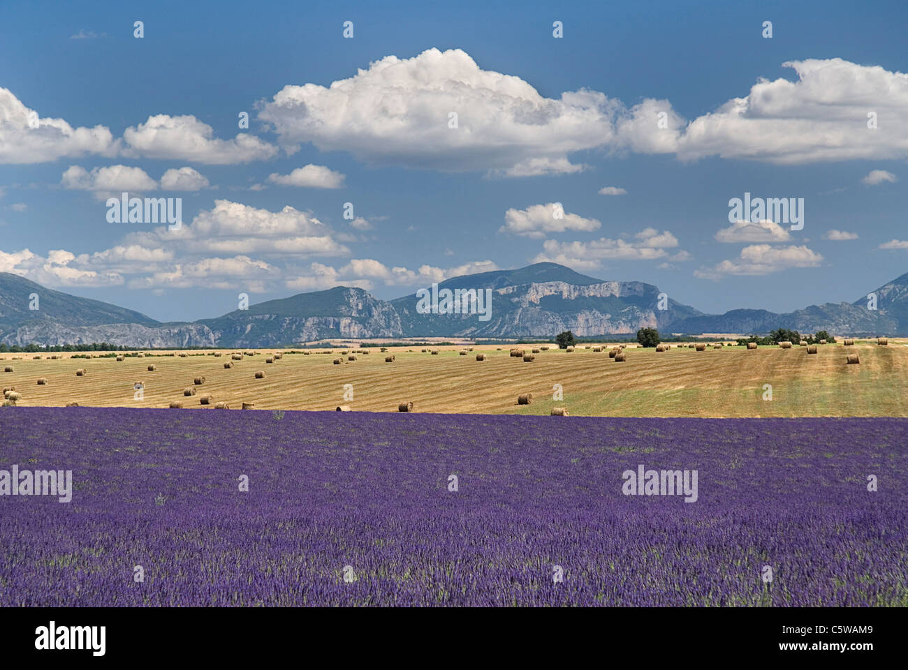 South France Stock Photos & South France Stock Images - Alamy