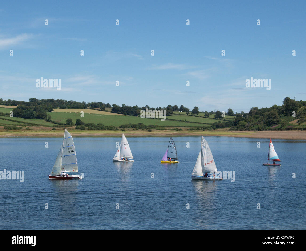 Dinghy racing on Wimbleball Lake. Somerset. UK Stock Photo - Alamy
