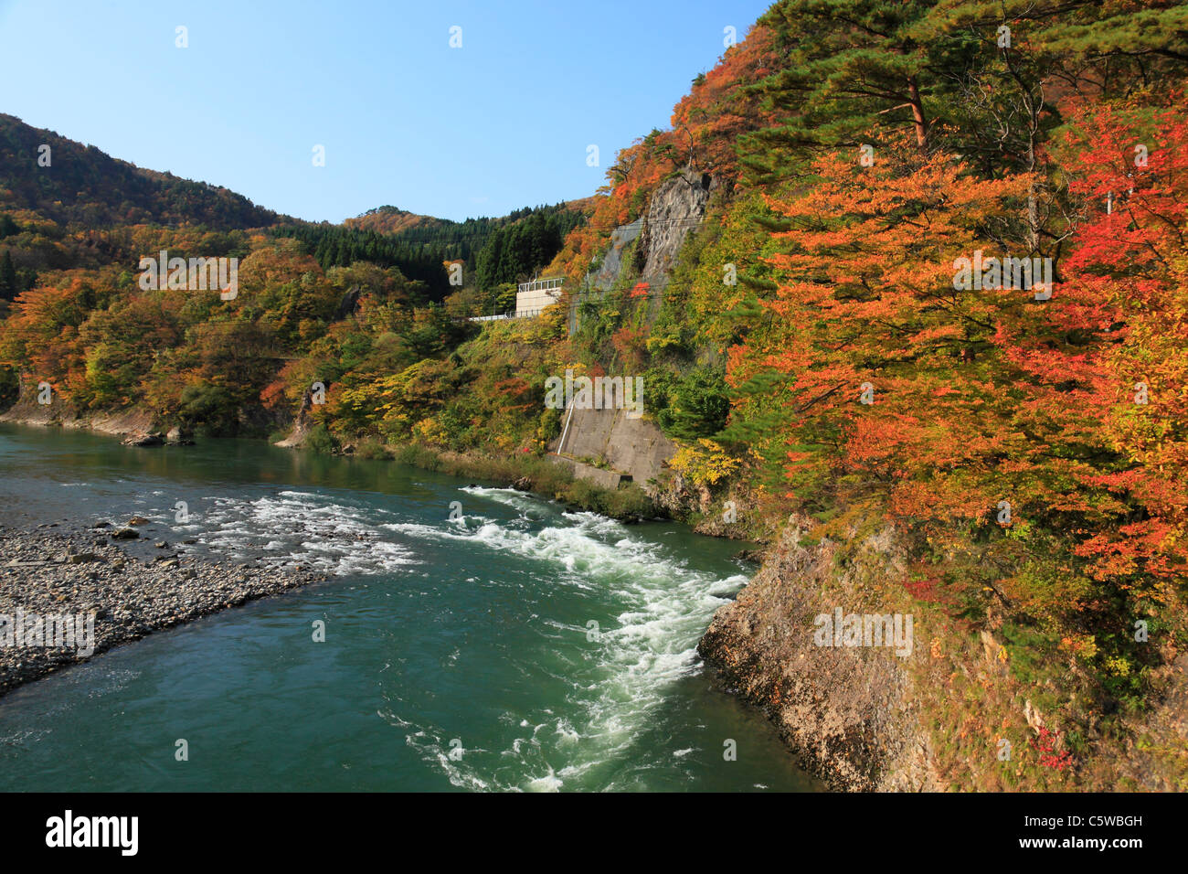 Autumn Leaves and Arakawa Ravine, Sekikawa, Iwafune, Niigata, Japan ...