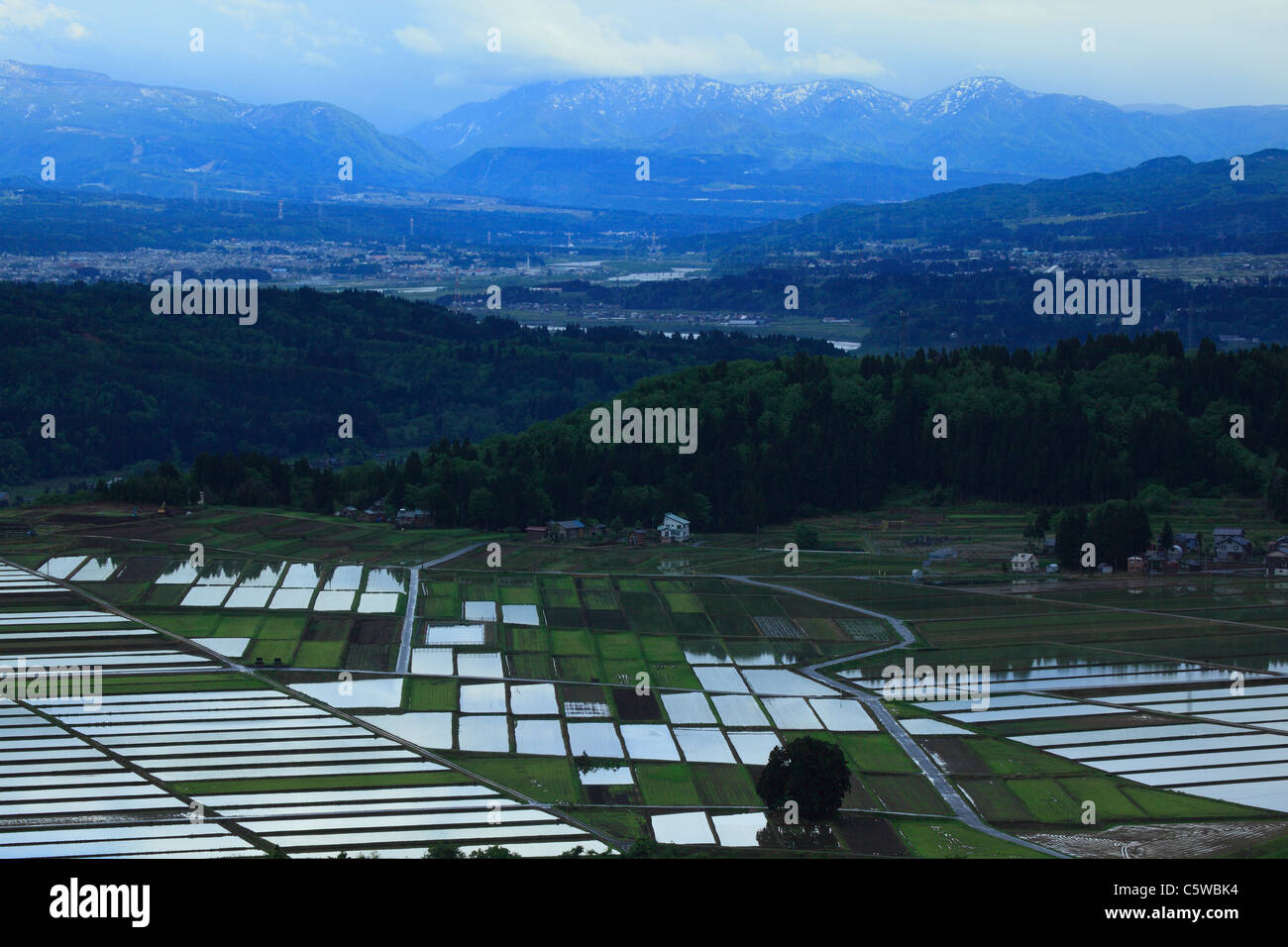 Rice Paddies at Ojiya, Niigata, Japan Stock Photo - Alamy