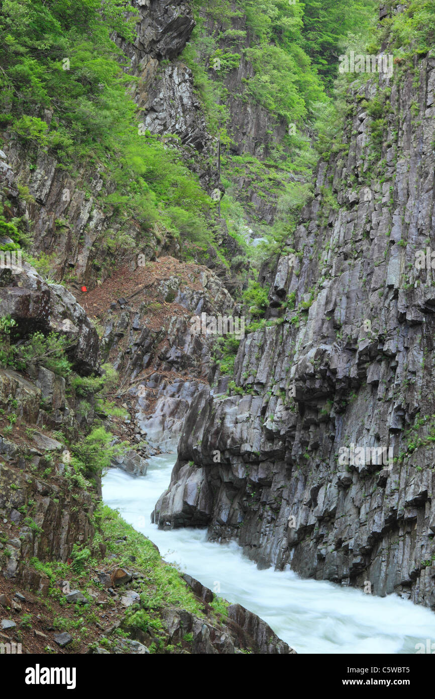 Columnar Joint of Kiyotsu Gorge, Tokamachi, Niigata, Japan Stock Photo ...