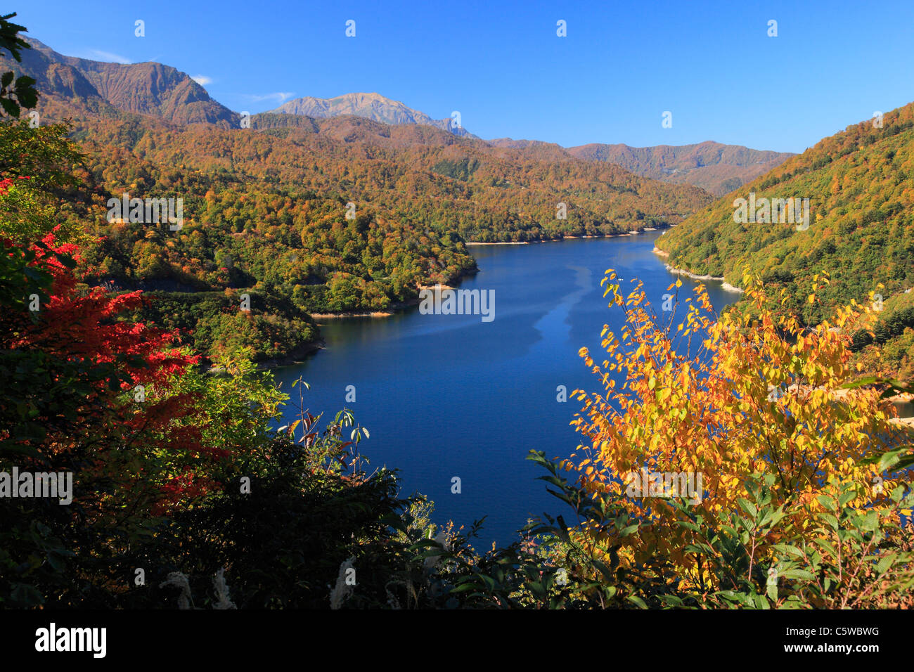 Lake Okutadami and Autumn Leaves, Uonuma, Niigata, Japan Stock Photo ...